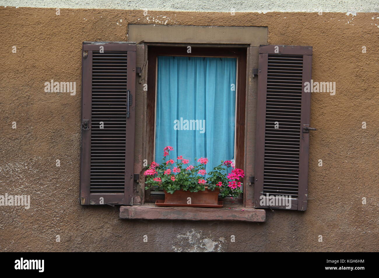 Window with flowers / Window with beautiful flowers on the windowsill ...