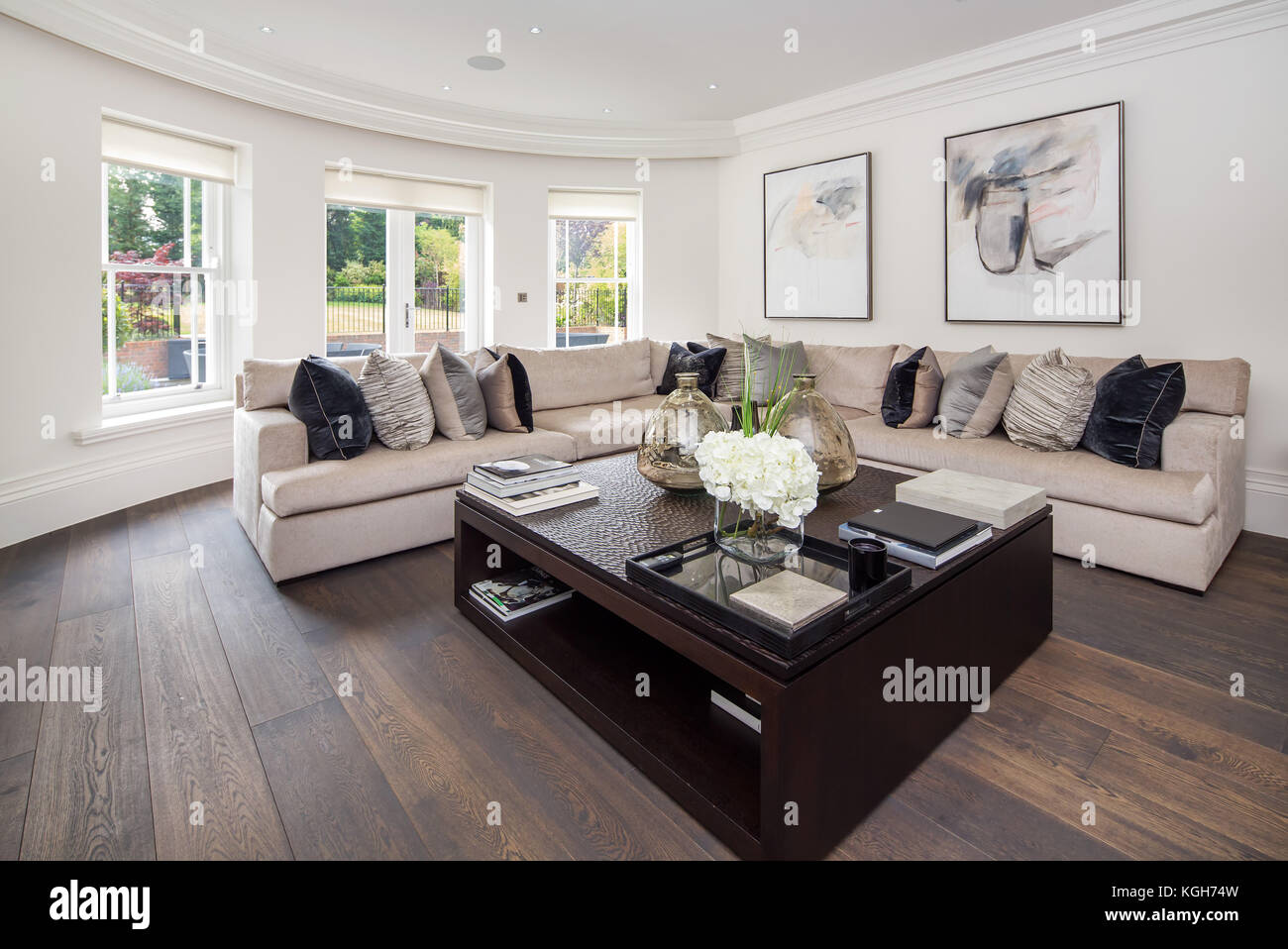 Modern luxury lounge in large house Stock Photo - Alamy