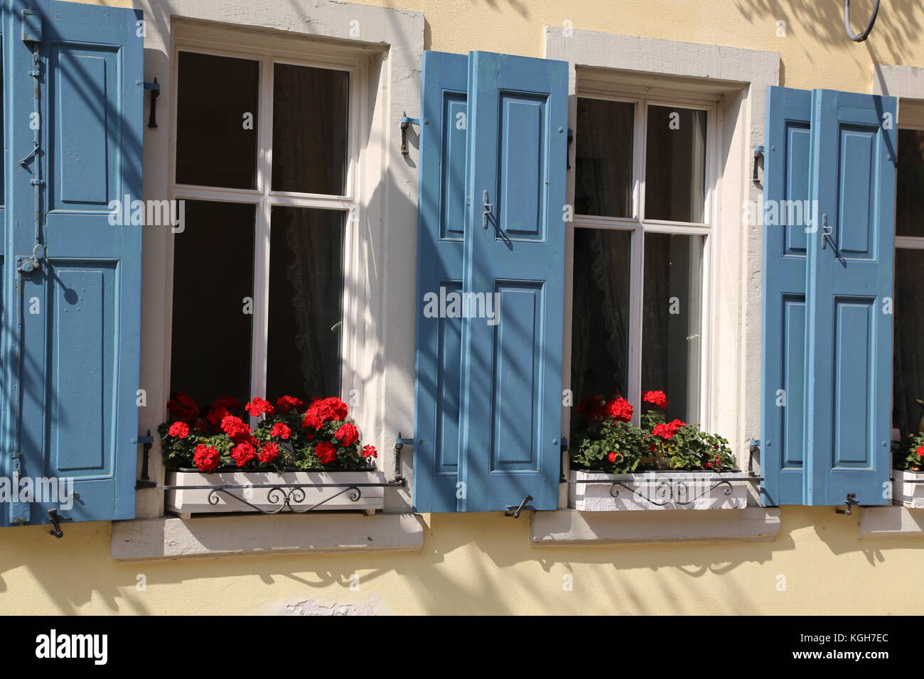 Window with flowers / Window with beautiful flowers on the windowsill ...