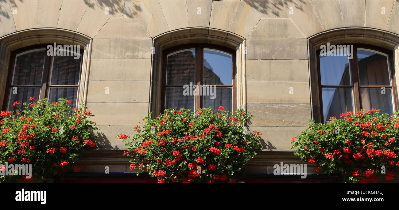 Window with flowers / Window with beautiful flowers on the windowsill ...