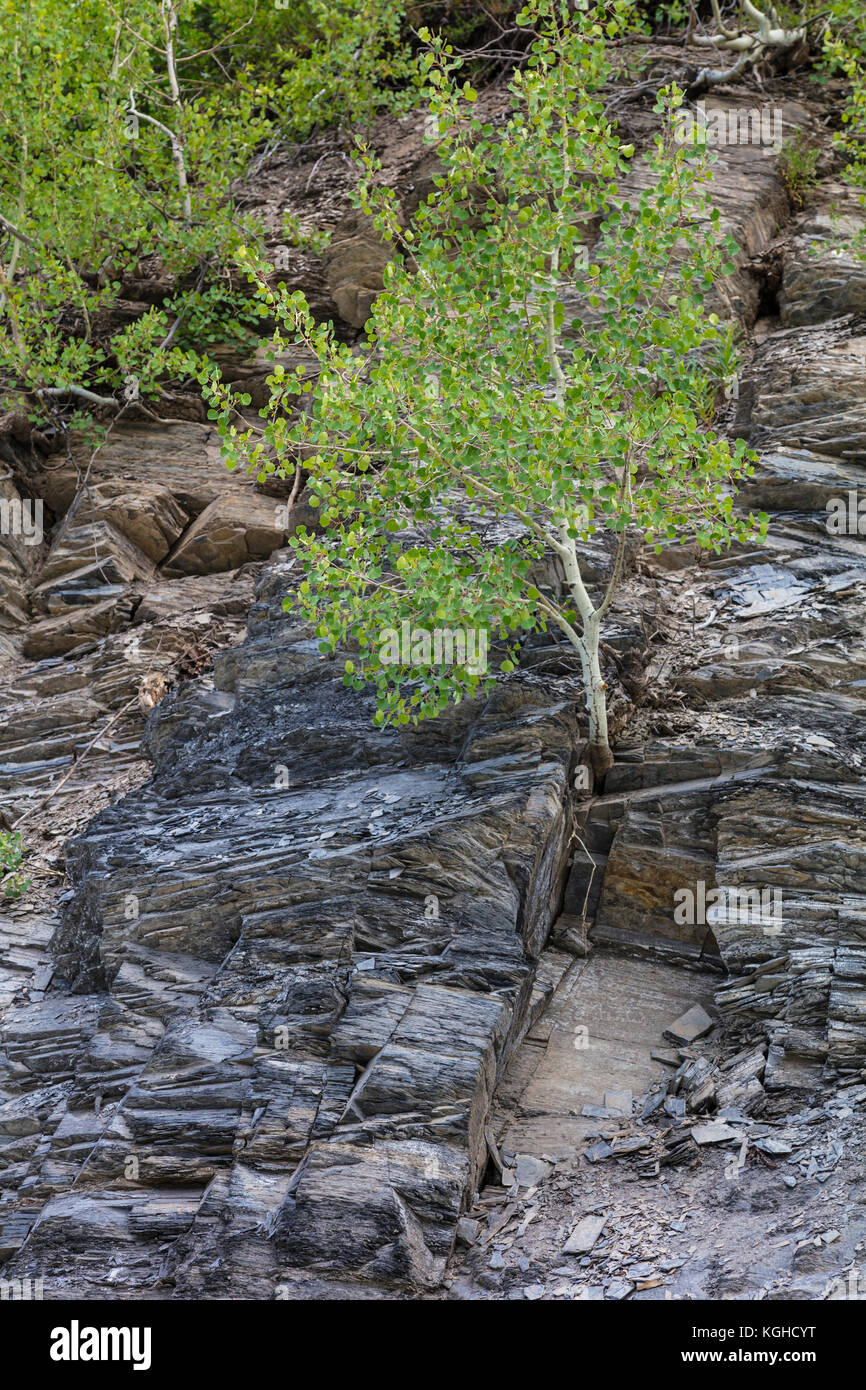 Shale Formation near Whitehouse Mountain, Colorado Stock Photo - Alamy