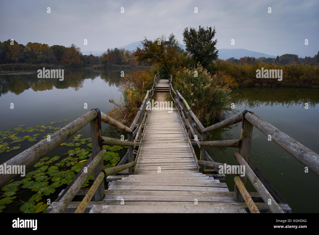 Catwalk in Torbiere del Sebino Natural Reserve, Italy Stock Photo - Alamy