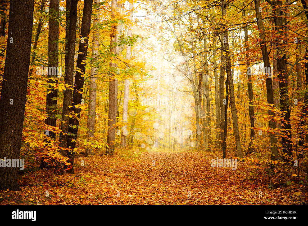 Autmn day hi-res stock photography and images - Alamy