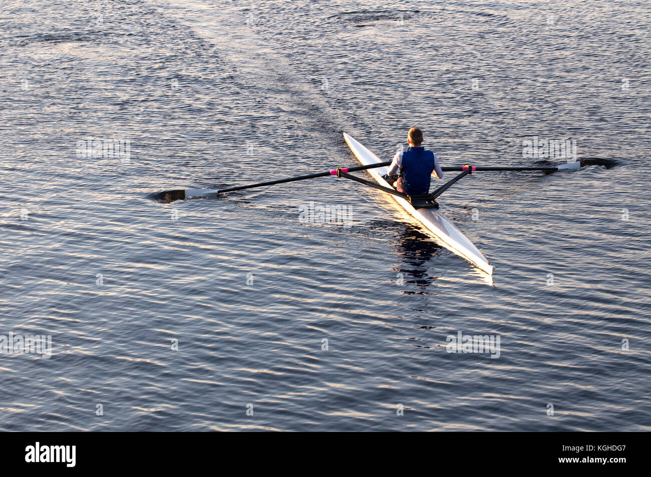 One man rowing alone Stock Photo - Alamy