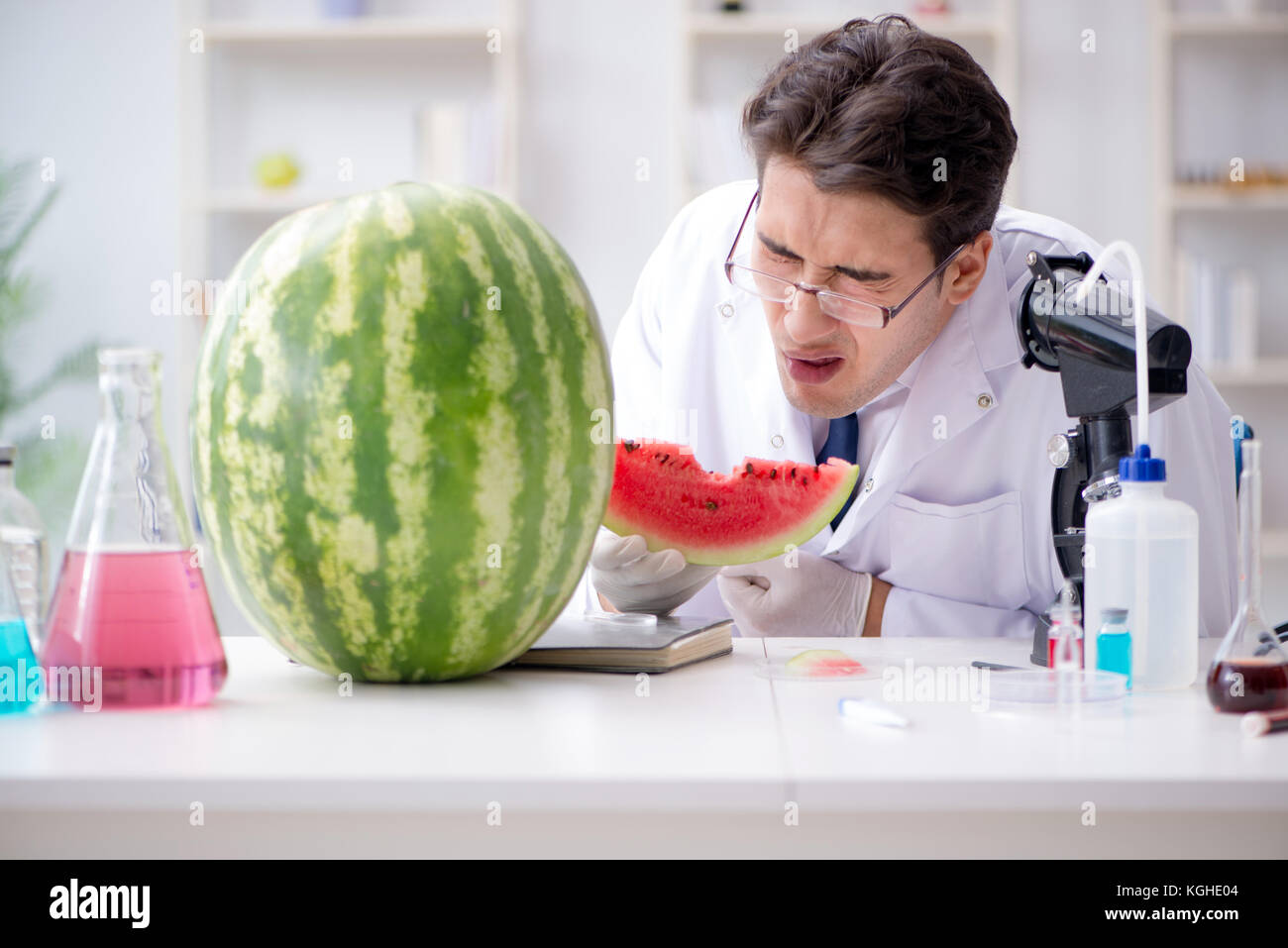 Scientist testing watermelon in lab Stock Photo - Alamy