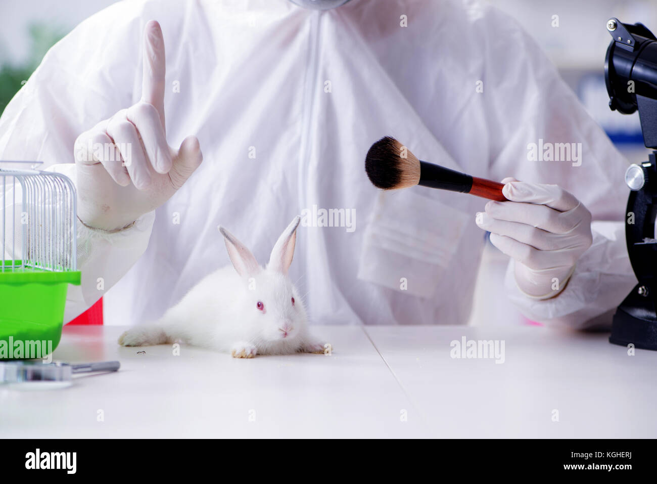 White rabbit in scientific lab experiment Stock Photo - Alamy