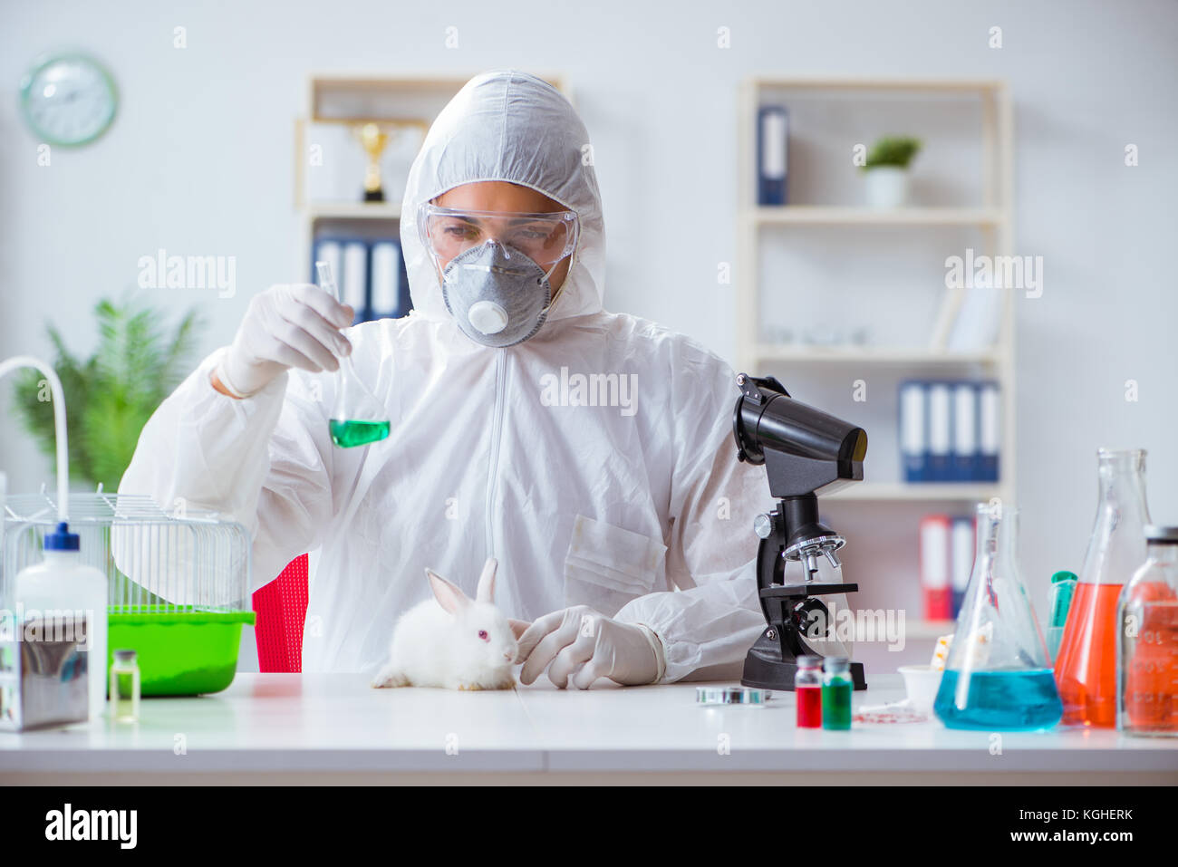 Scientist doing animal experiment in lab with rabbit Stock Photo - Alamy