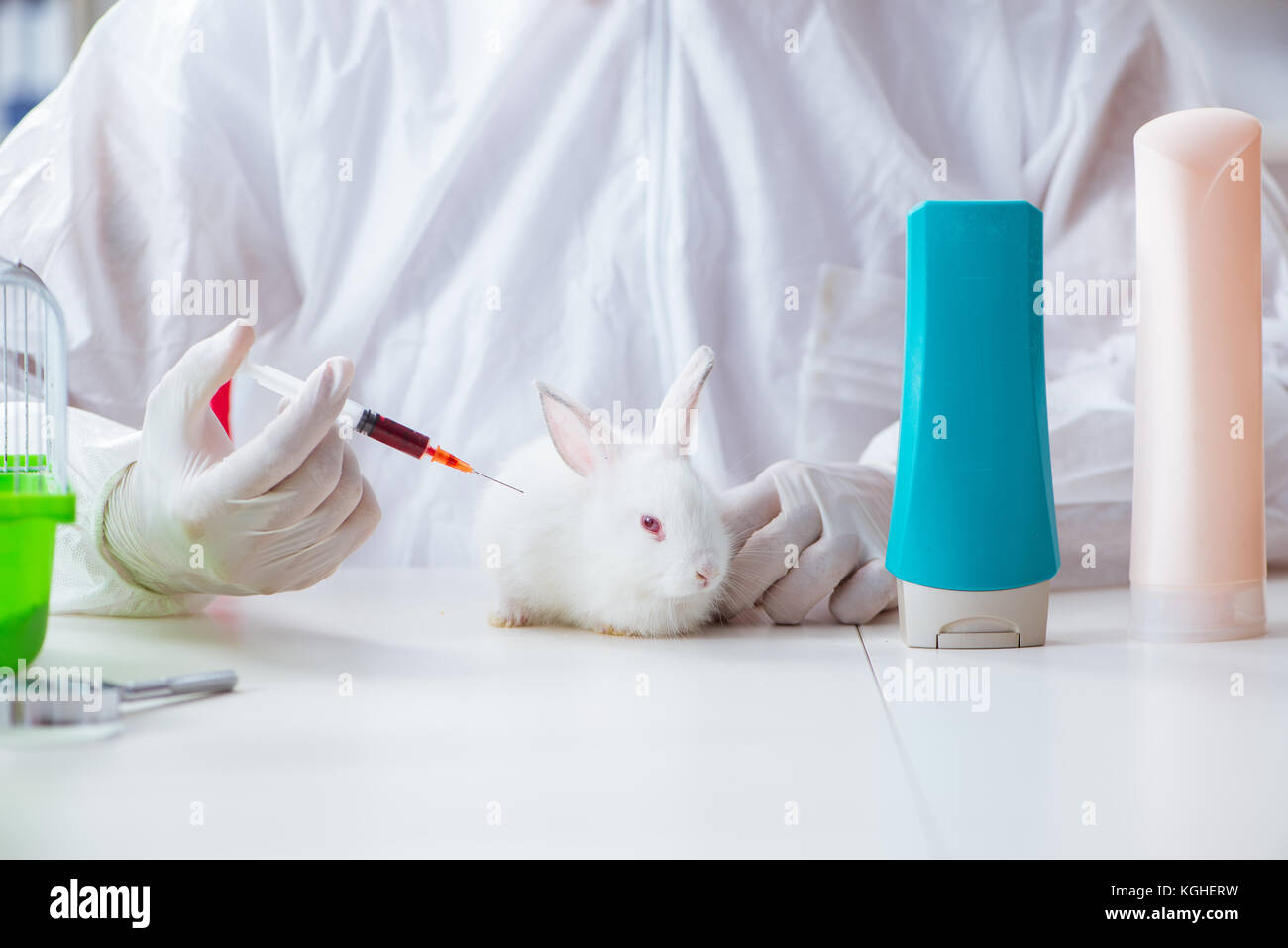 White rabbit in scientific lab experiment Stock Photo - Alamy