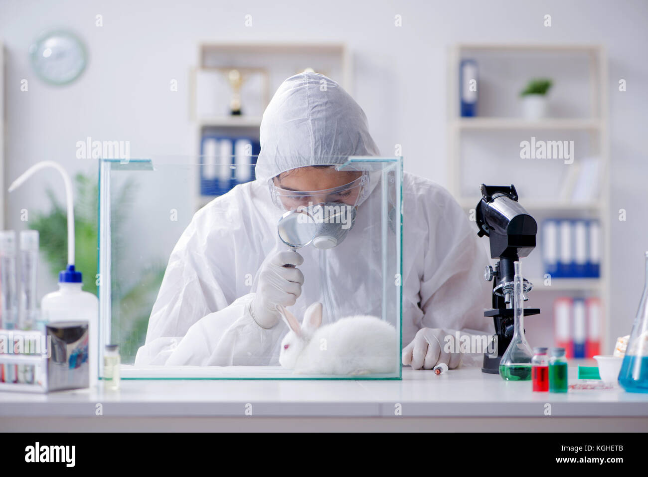 Scientist doing animal experiment in lab with rabbit Stock Photo - Alamy