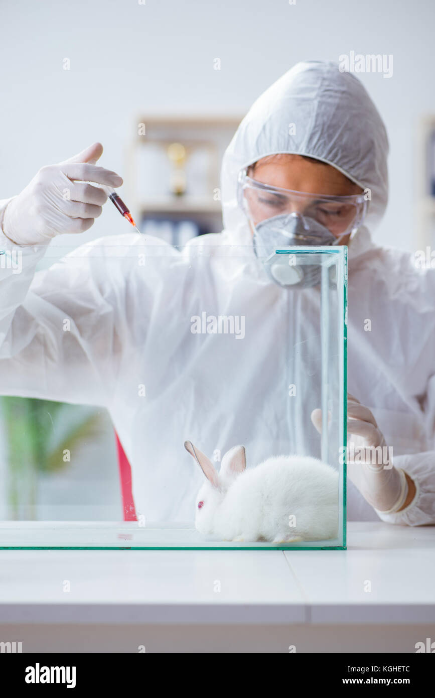 Scientist doing animal experiment in lab with rabbit Stock Photo - Alamy