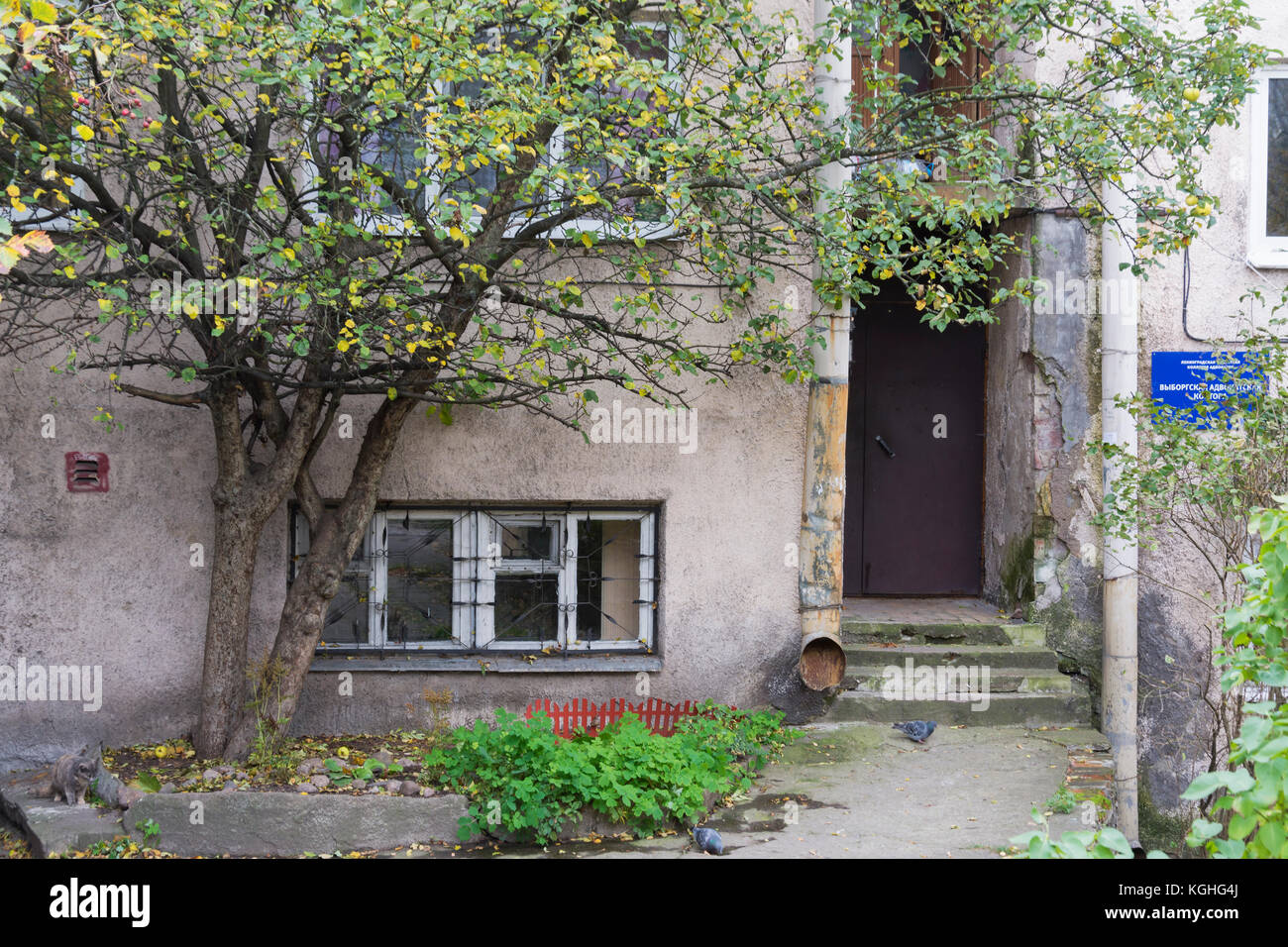 Backyard with stairs hi-res stock photography and images - Alamy