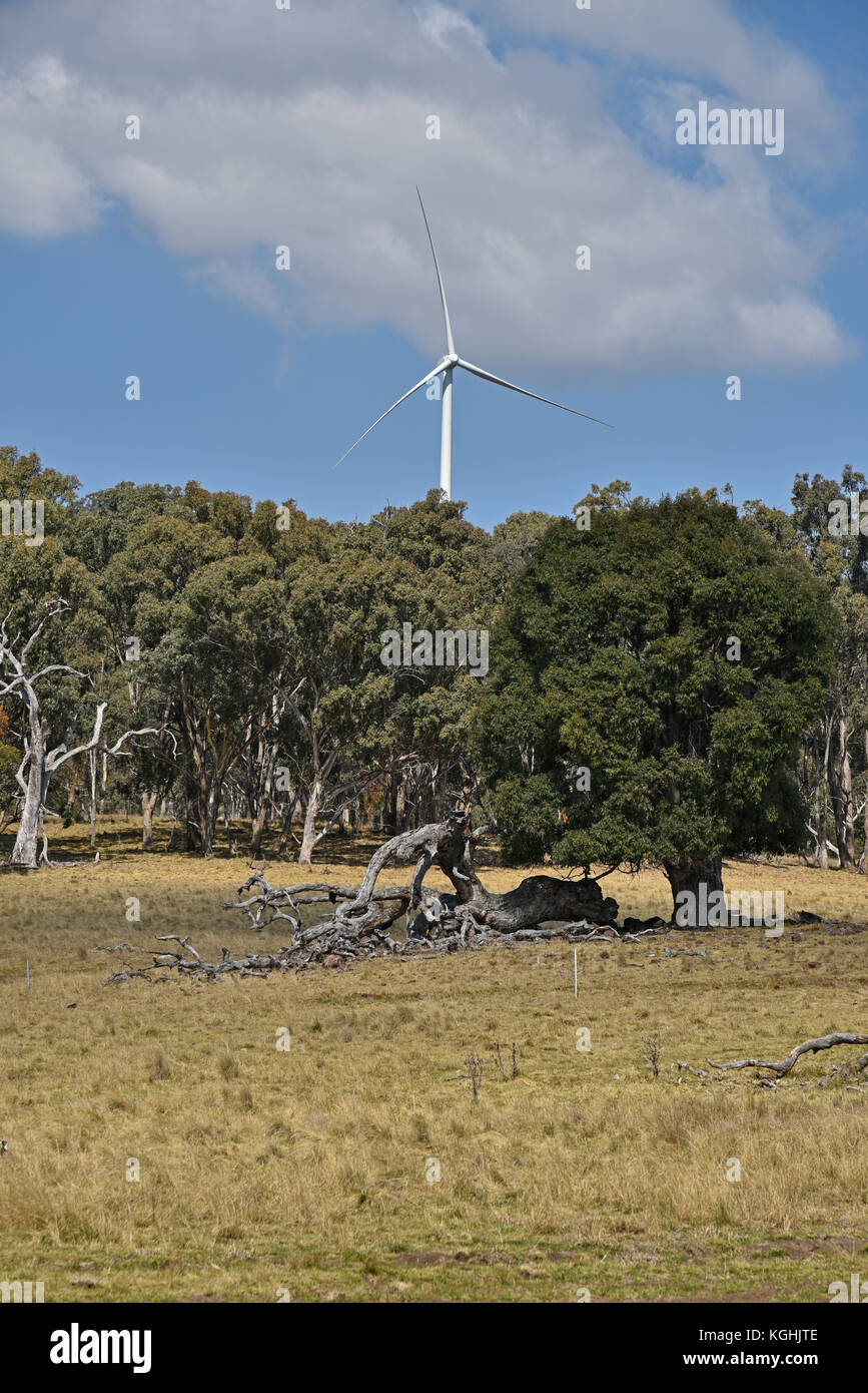 wind turbine at the white rocks wind farm at Glen Innes in northern new ...