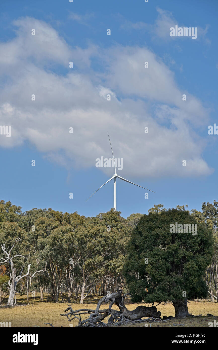 wind turbine at the white rocks wind farm at Glen Innes in northern new ...