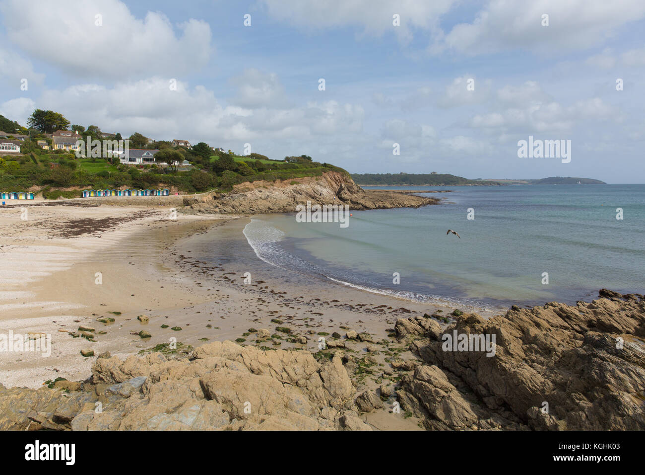 Swanpool beach and coast Falmouth Cornwall England UK located between ...