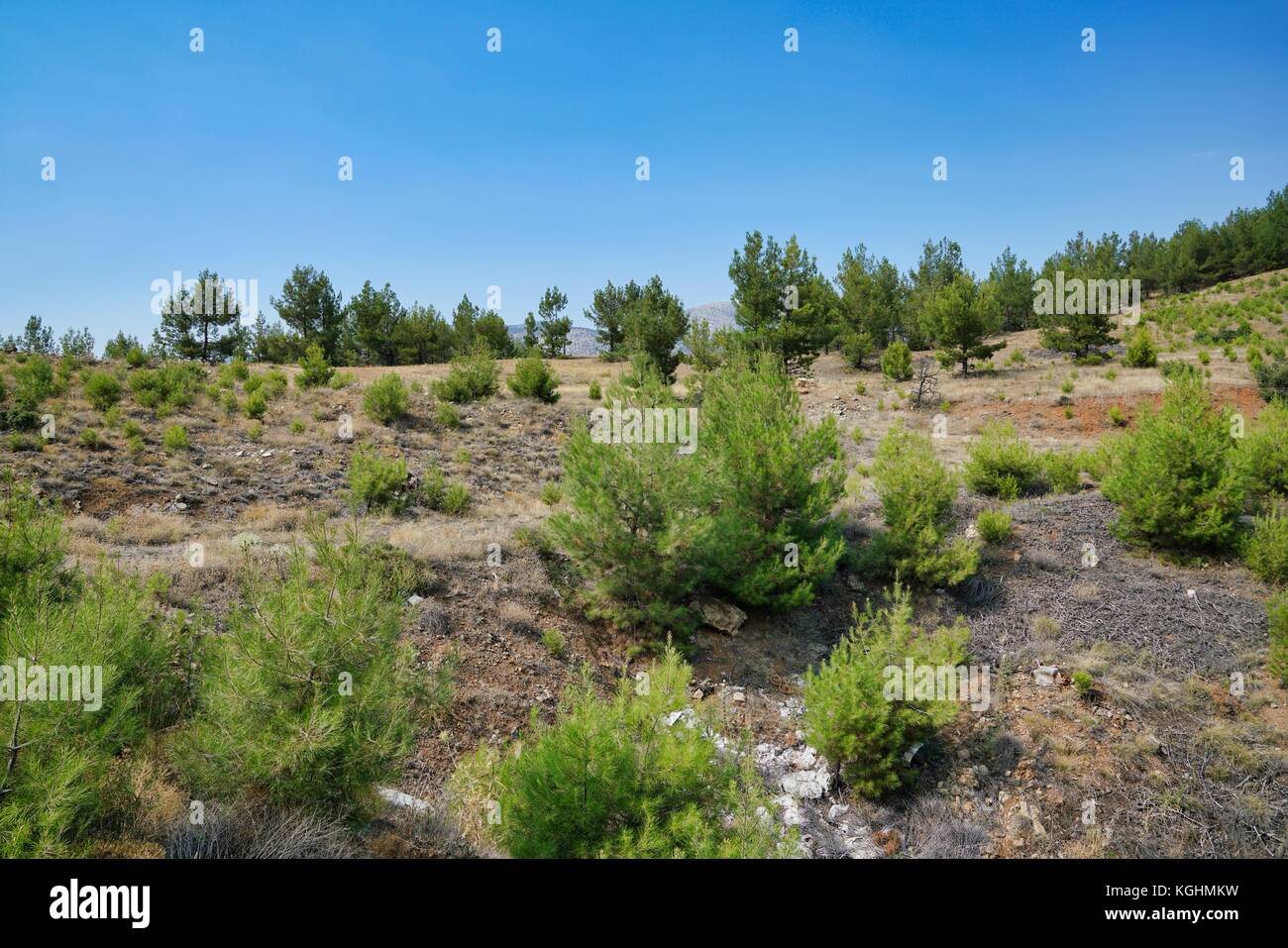 Road, Hills, mountains, rocks, trees and the blue sky with clouds Stock ...