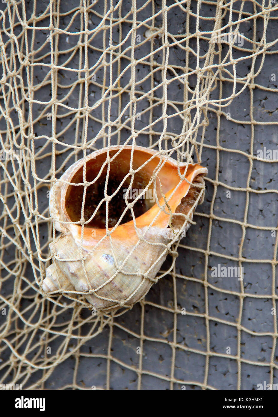 Fishing net top view hi-res stock photography and images - Alamy