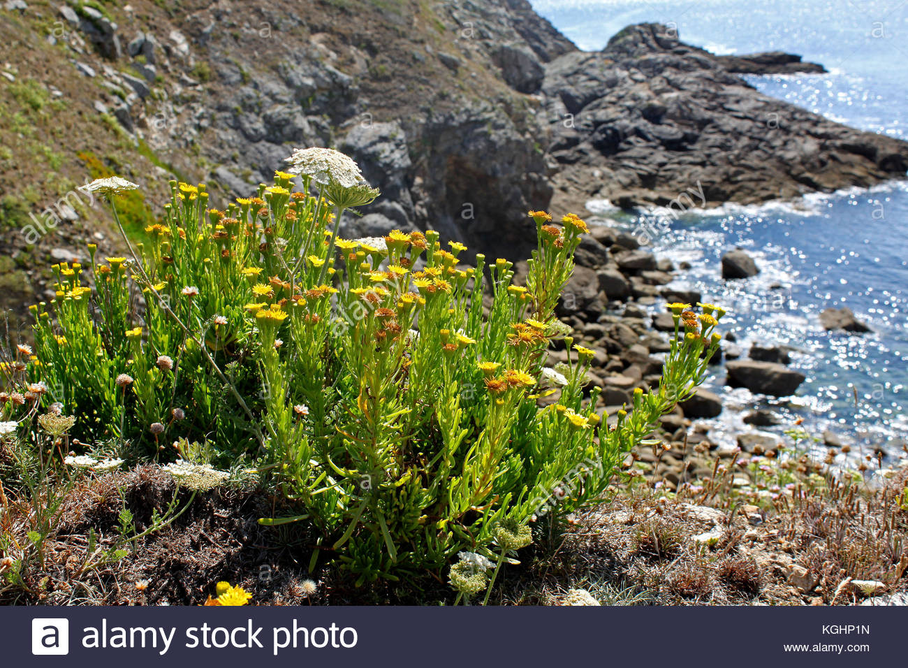 Gr34 Stock Photos & Gr34 Stock Images - Alamy