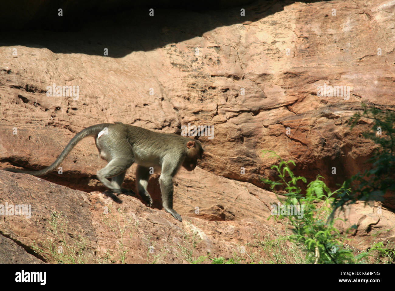 Cautiously tread hi-res stock photography and images - Alamy