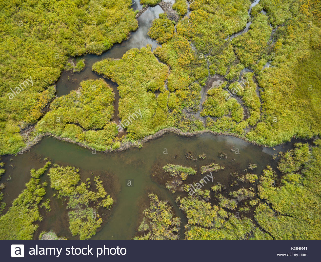 Beaver Dam Pond High Resolution Stock Photography and Images - Alamy