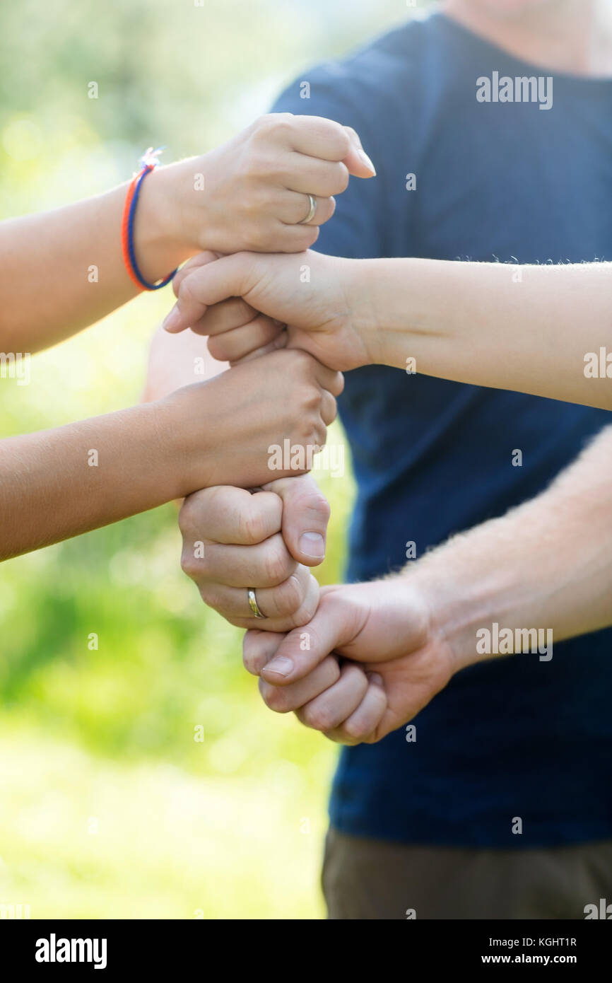 Cropped Image Of Coworkers Stacking Fists In Forest Stock Photo - Alamy