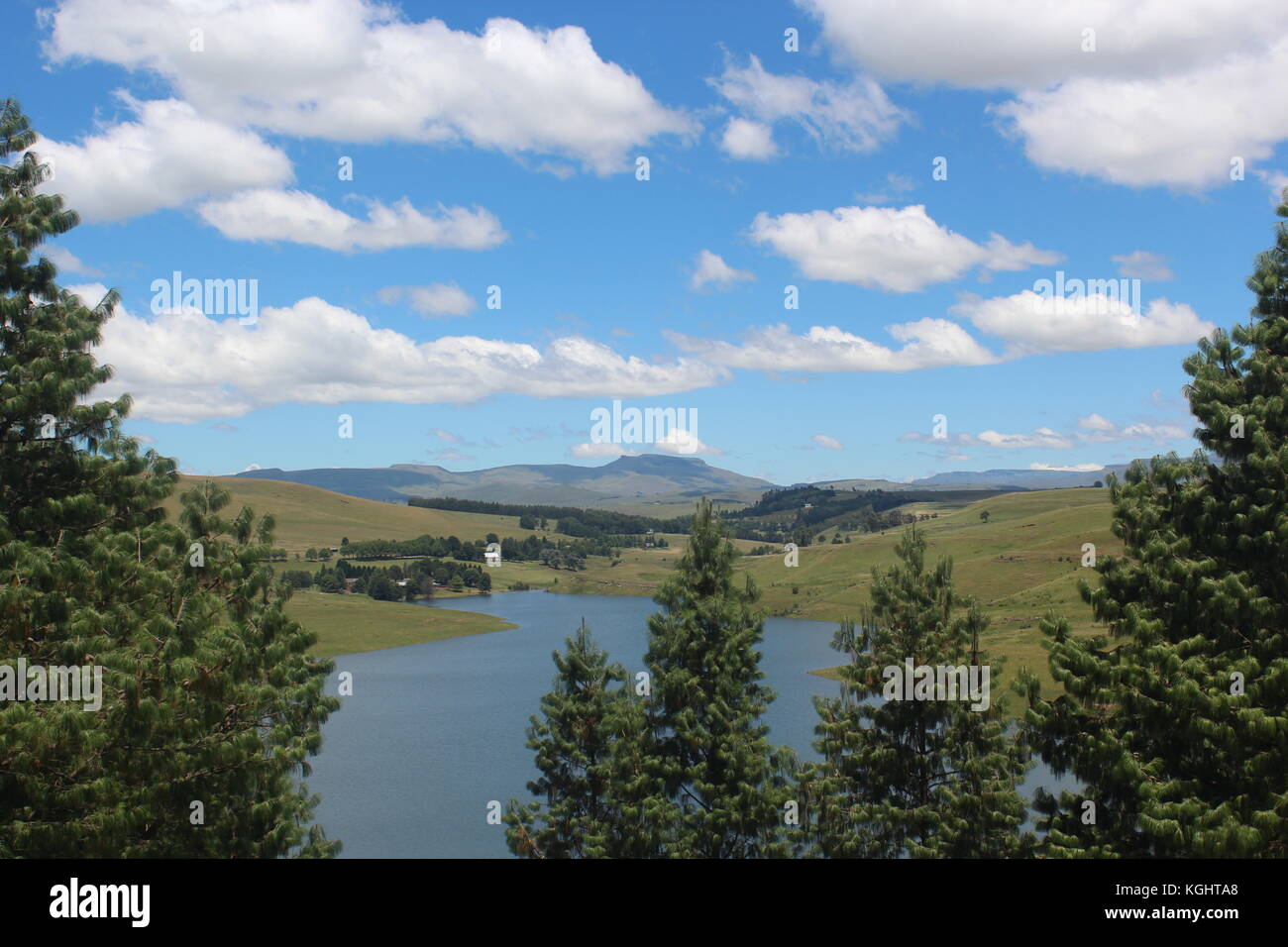 Tree top view hi-res stock photography and images - Alamy