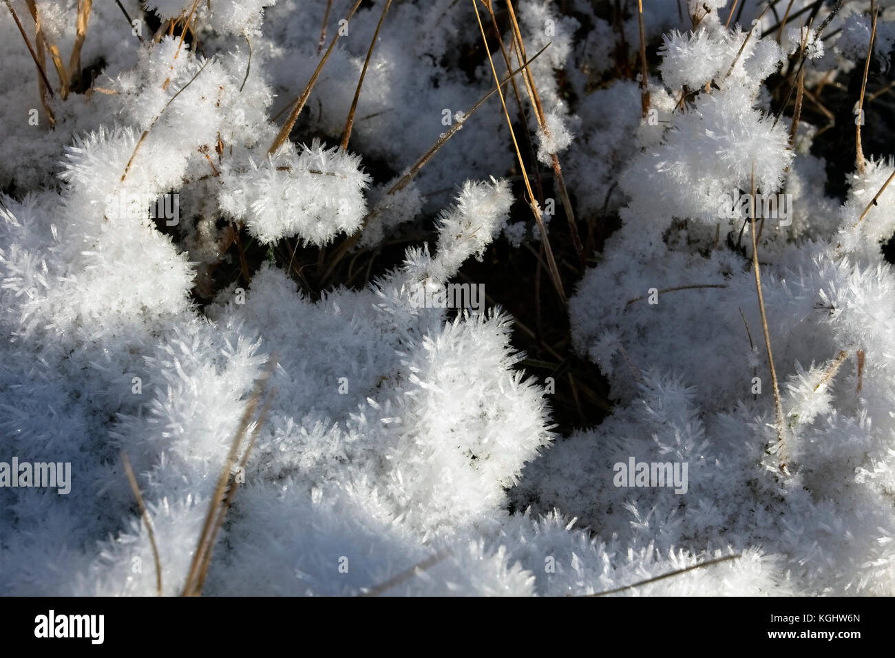 Ground surface hi-res stock photography and images - Alamy