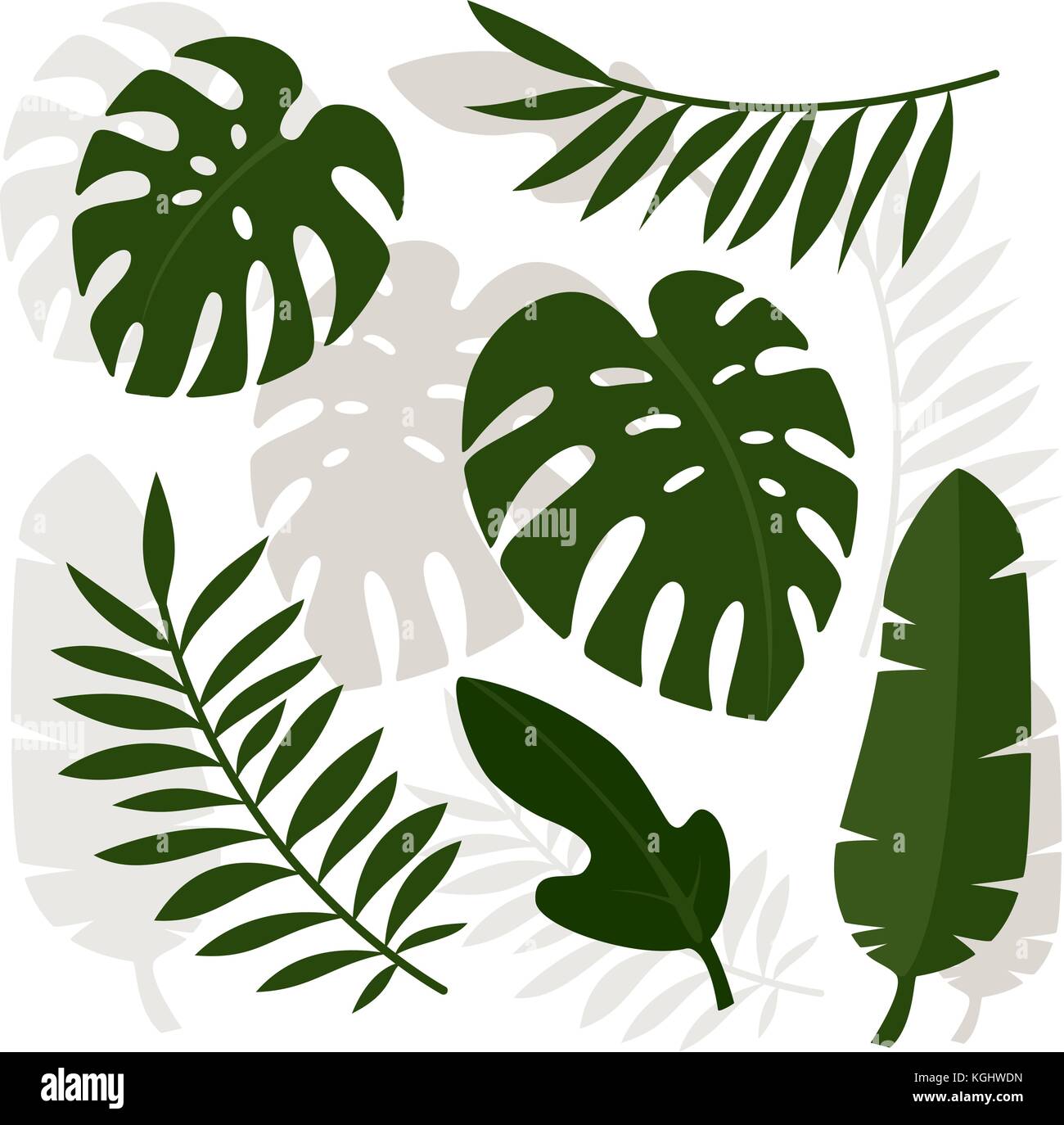 Tropical Leaves Vector Illustration Eps 10 Stock Vector Image And Art Alamy