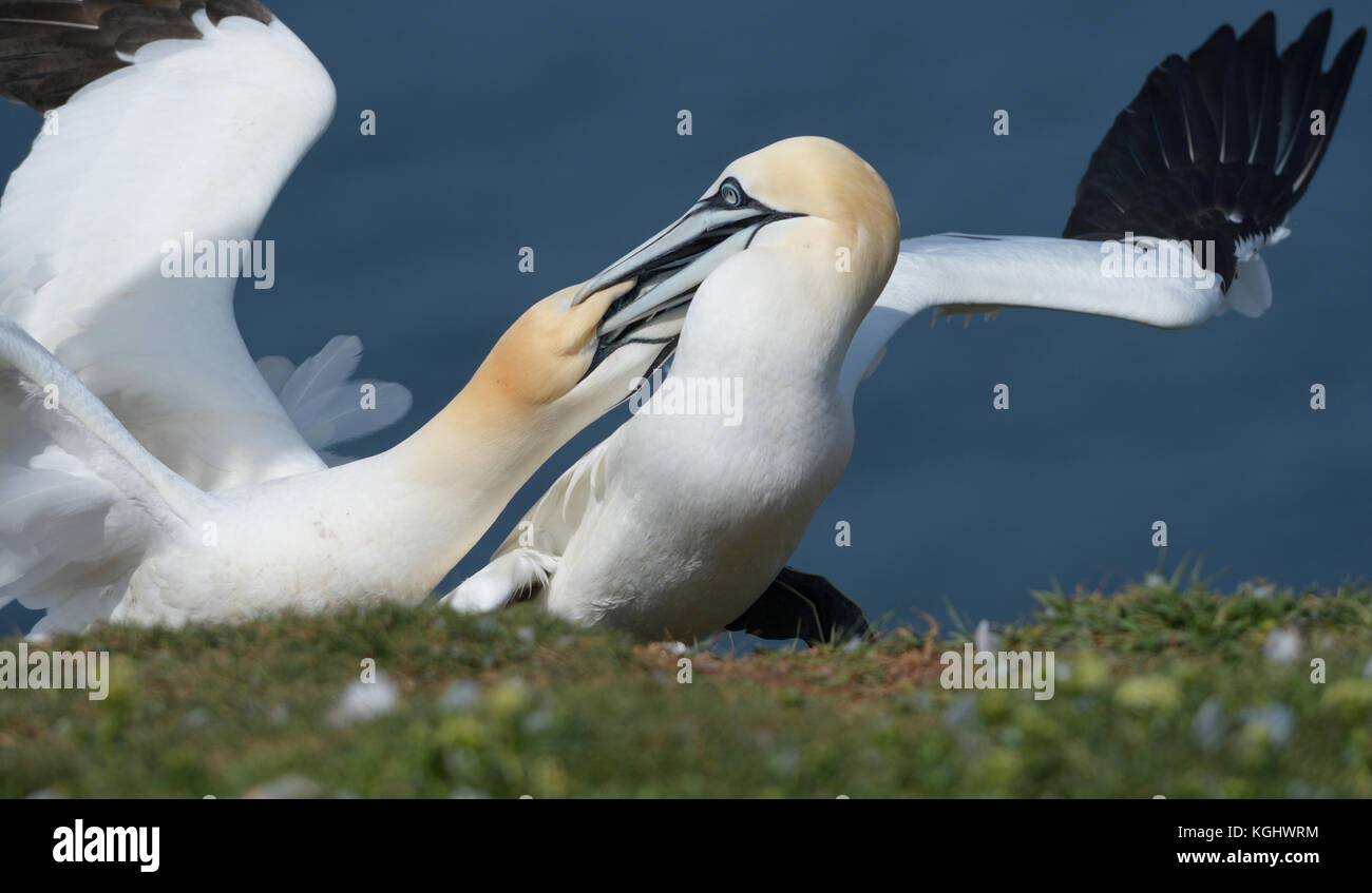 Location of heavy fighting hi-res stock photography and images - Alamy
