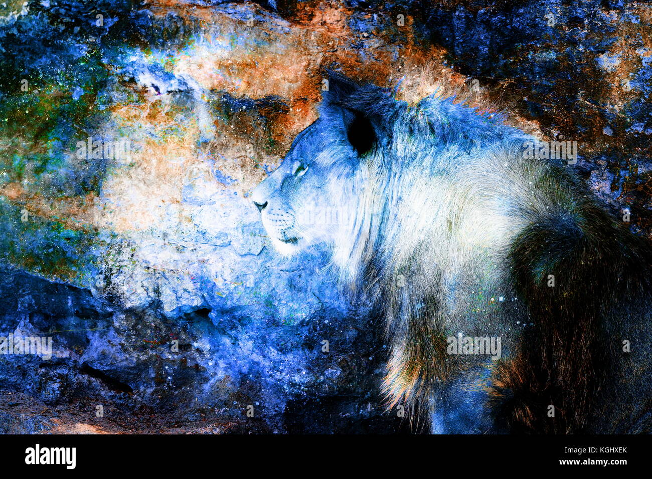 Lion in the cosmic space. Lion photos and graphic effect Stock Photo ...