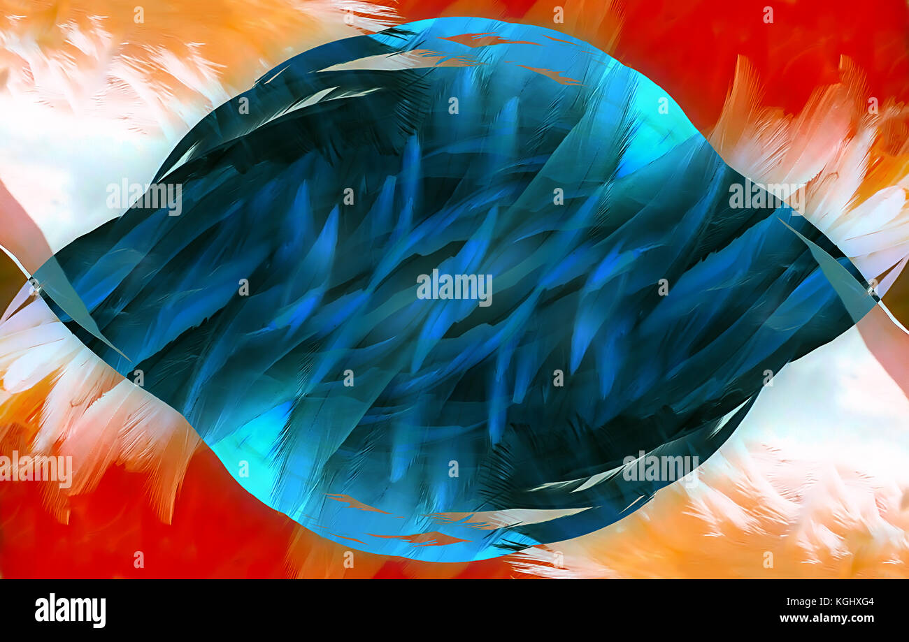 Bird Feathers collage. Photos with graphic effect Stock Photo - Alamy