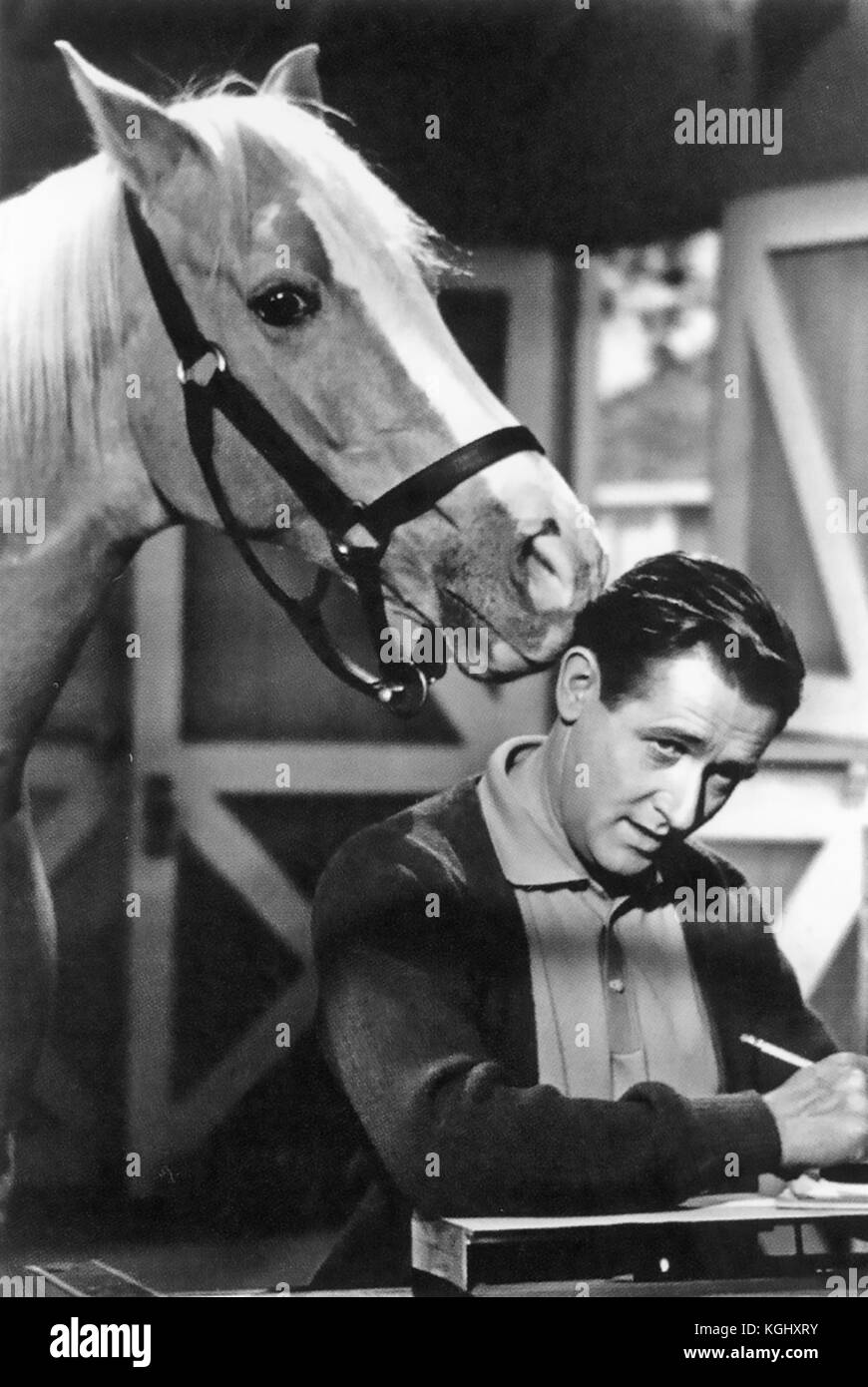 Mr ed tv hi-res stock photography and images - Alamy