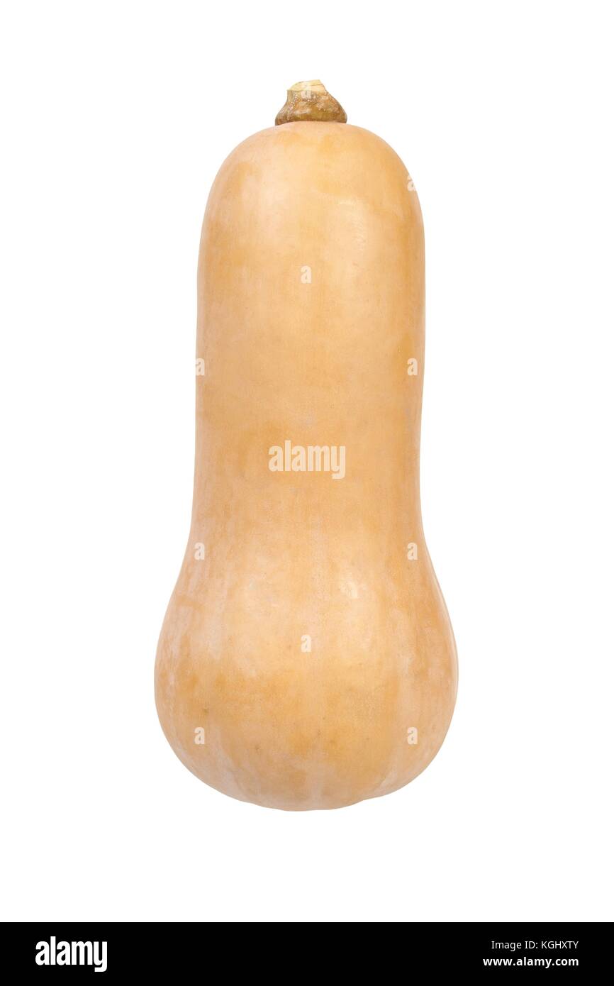 Butternut squash isolated on white background Stock Photo - Alamy
