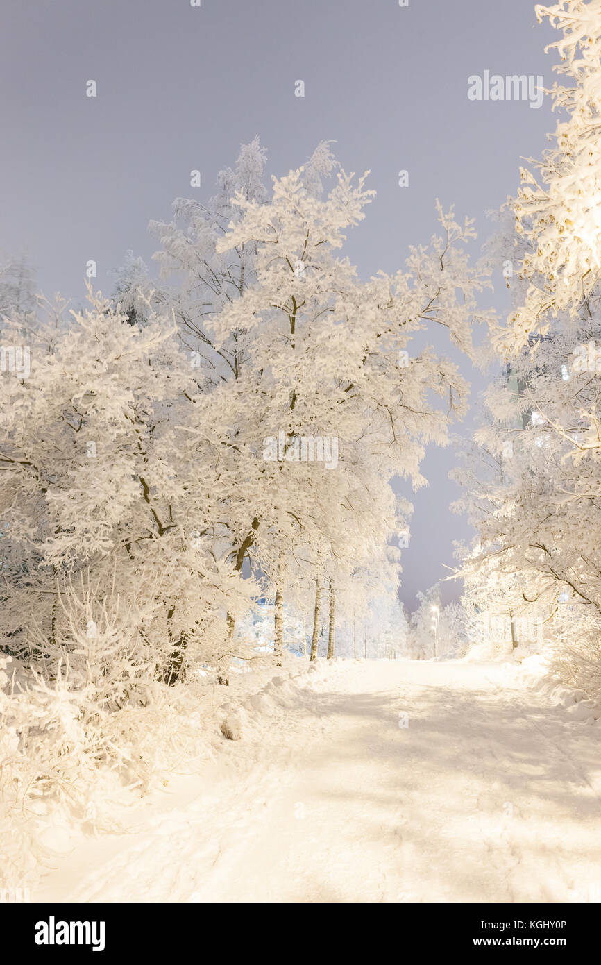 Snow covered trees in city Stock Photo - Alamy