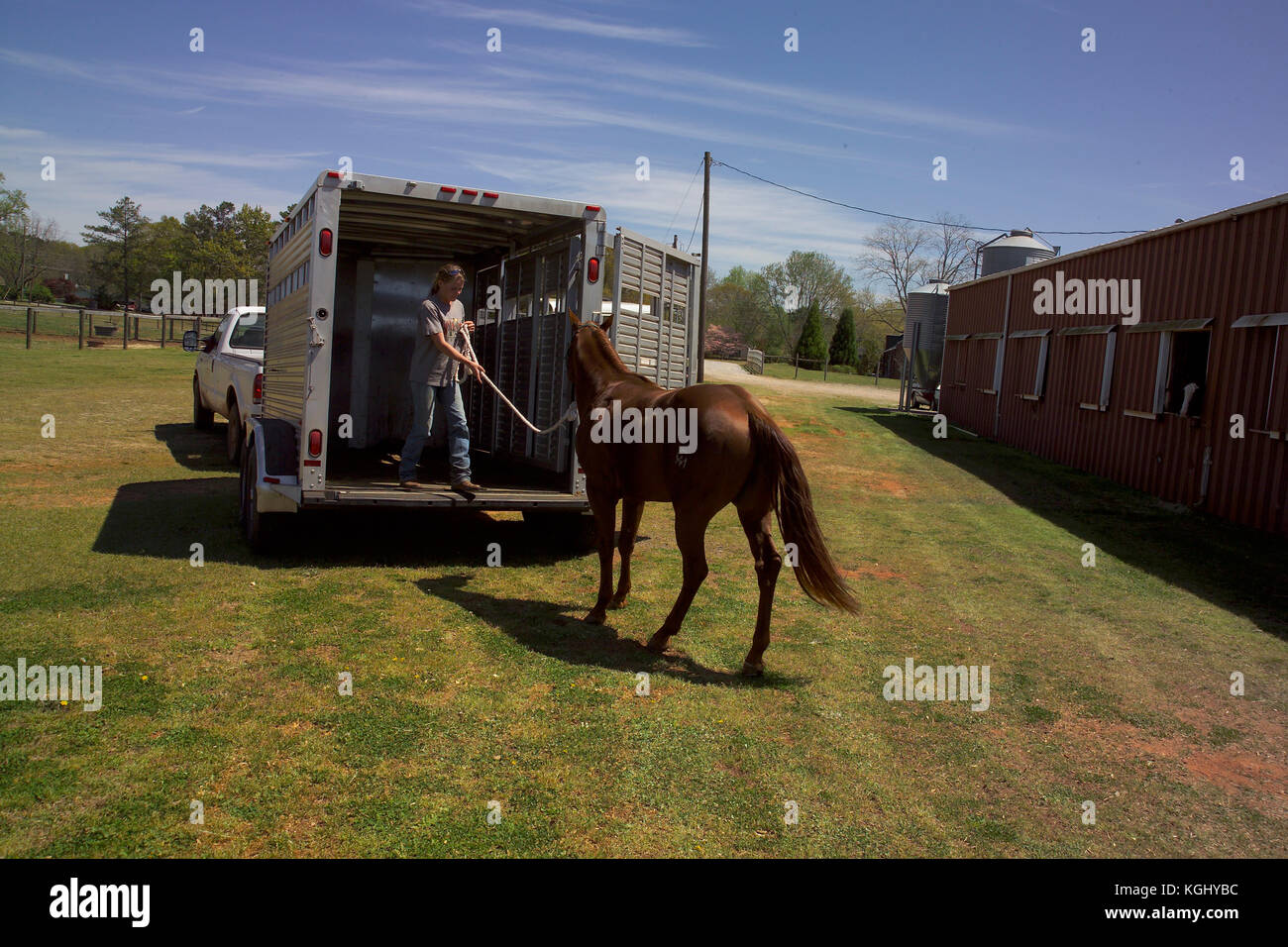 Trailer loading horse hi-res stock photography and images - Alamy