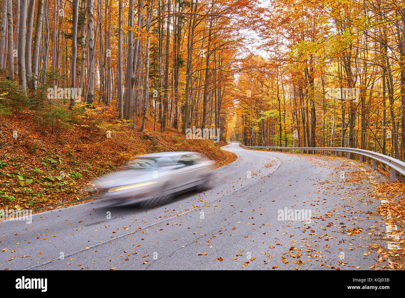 A car speeding on a road through colorful forest Stock Photo - Alamy
