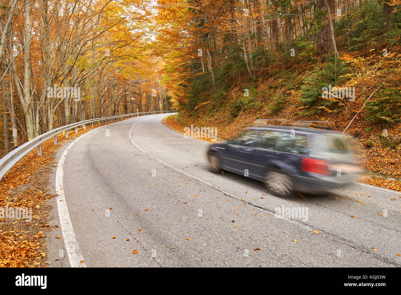 A car speeding on a road through colorful forest Stock Photo - Alamy