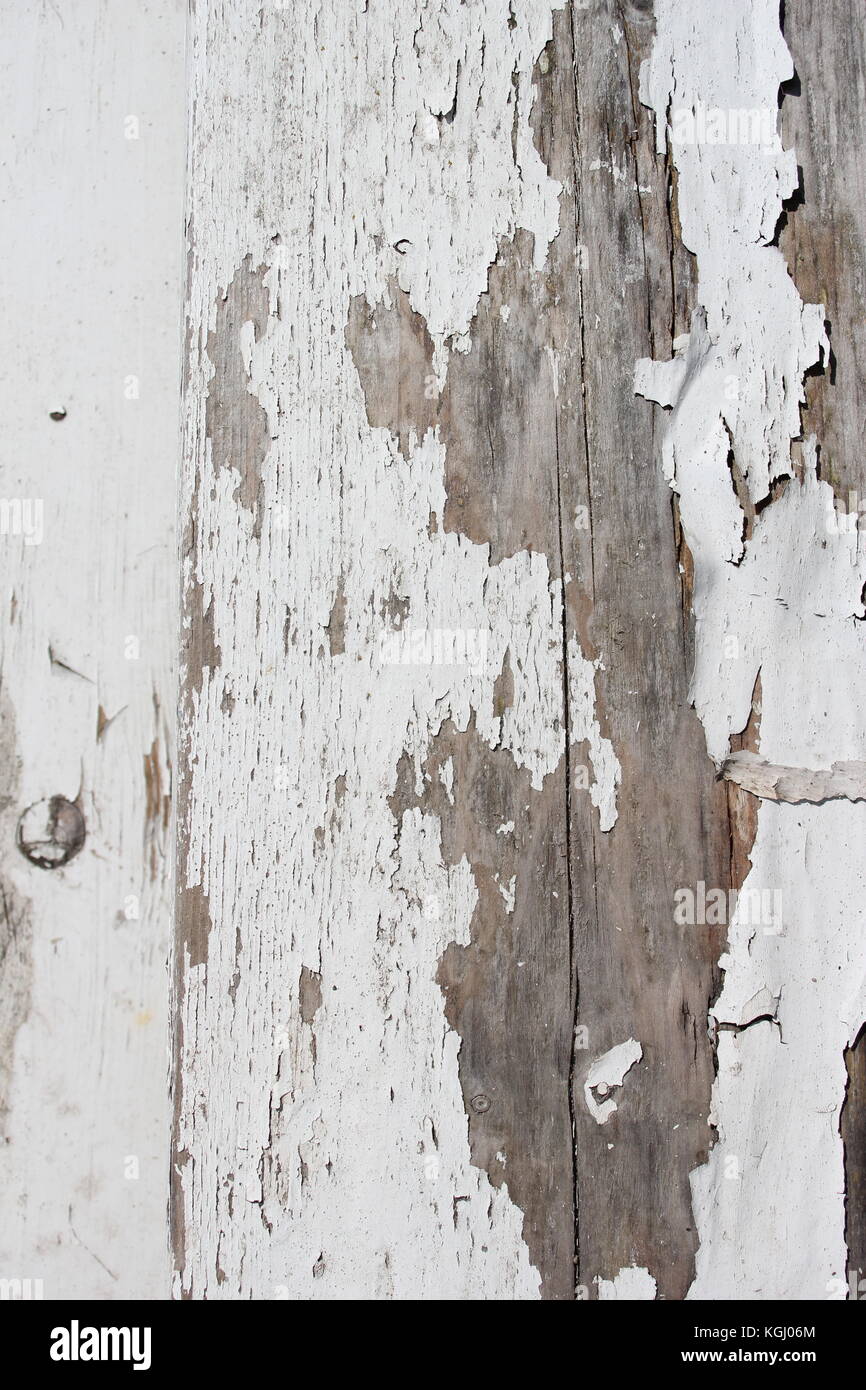 wood shed with white weathered peeling paint Stock Photo - Alamy