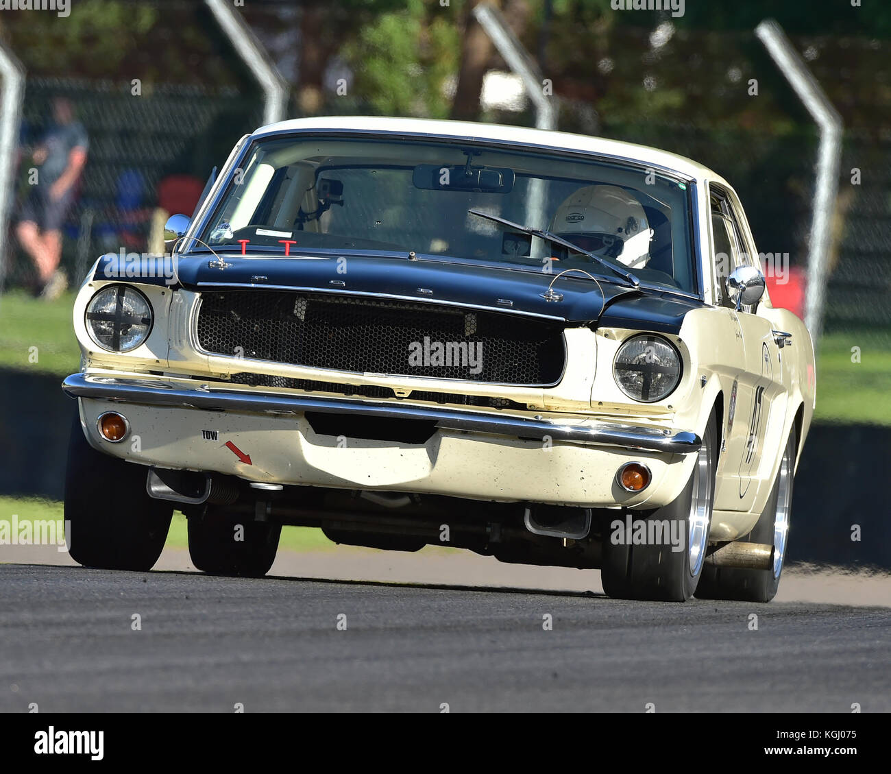 William Shepherd, Ford Mustang, Bernies V8s, American Speedfest V ...