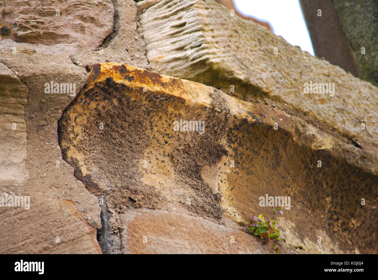 Sandstone building detail Stock Photo - Alamy