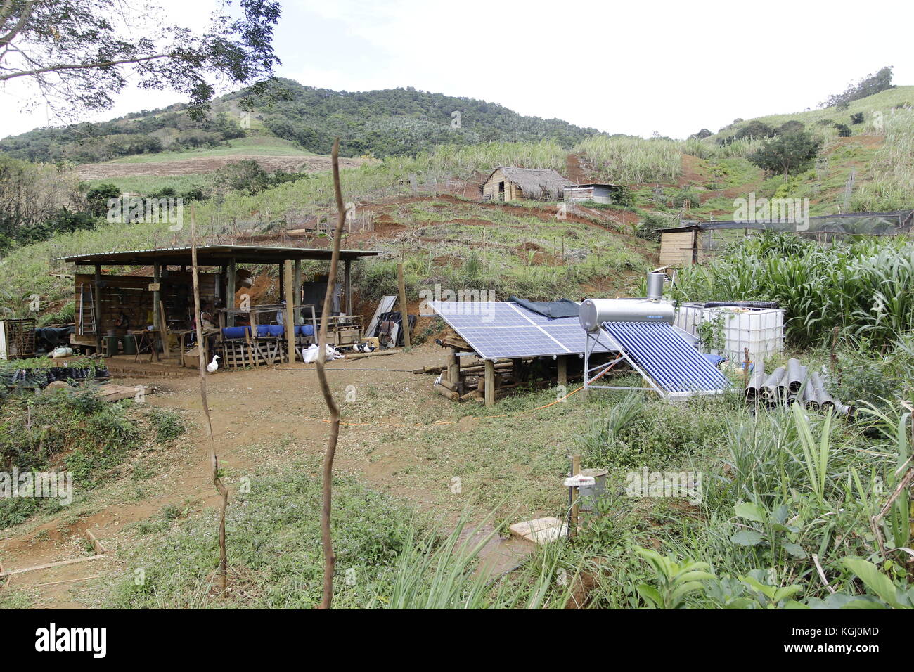LAFERM COCO À BAMBOUS VIRIEUX Stock Photo - Alamy