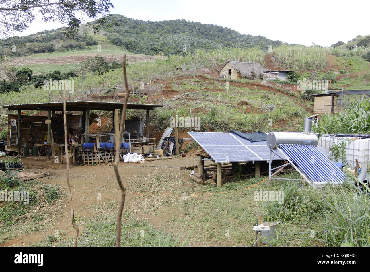 LAFERM COCO À BAMBOUS VIRIEUX Stock Photo - Alamy