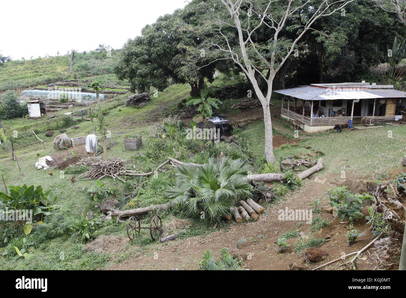 LAFERM COCO À BAMBOUS VIRIEUX Stock Photo - Alamy