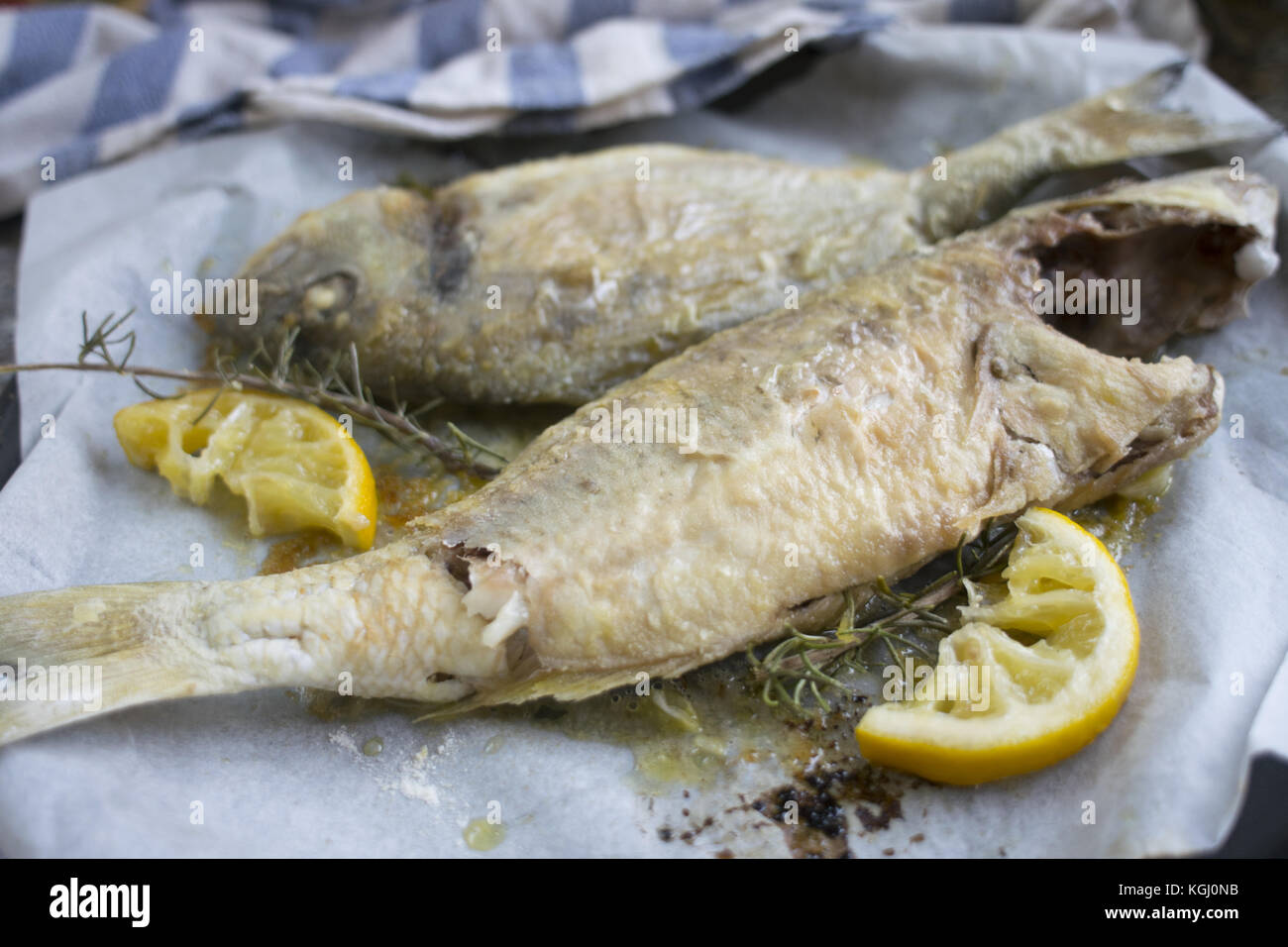 Sea beam hi-res stock photography and images - Alamy