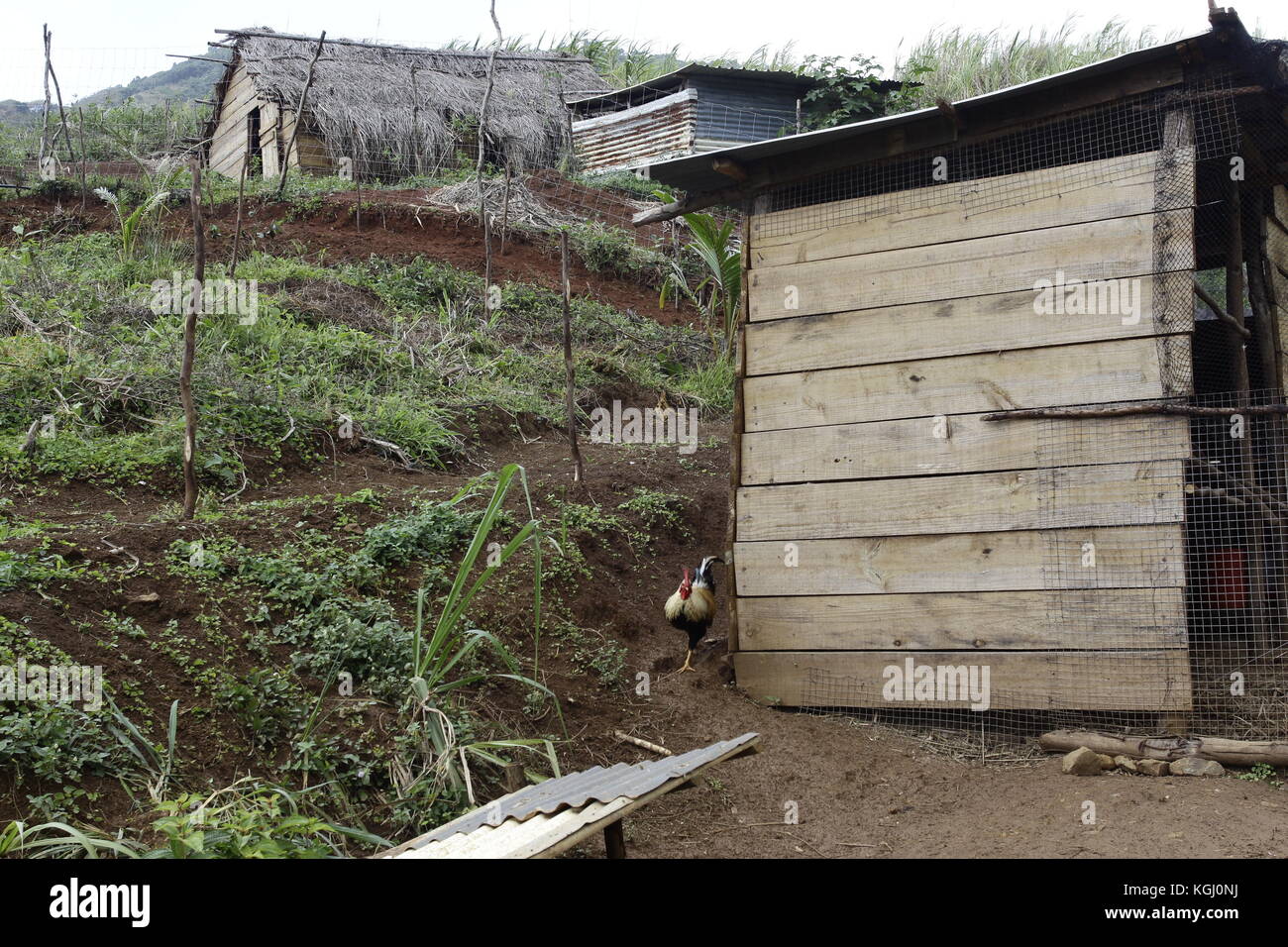 LAFERM COCO À BAMBOUS VIRIEUX Stock Photo - Alamy