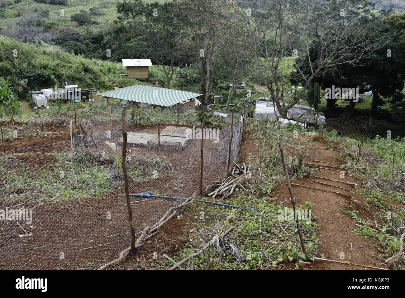 LAFERM COCO À BAMBOUS VIRIEUX Stock Photo - Alamy
