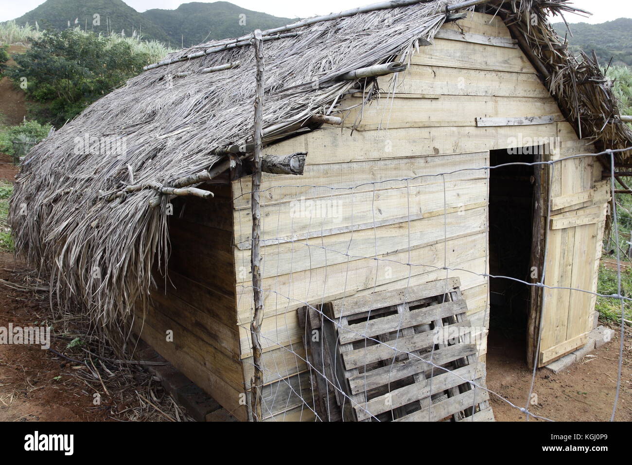 LAFERM COCO À BAMBOUS VIRIEUX Stock Photo - Alamy