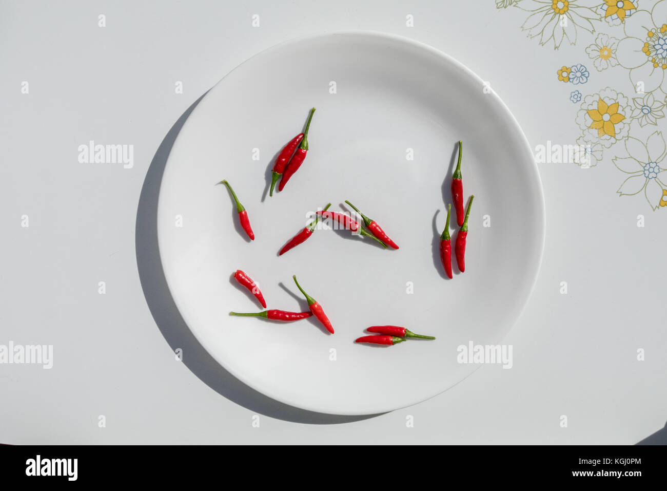 Red Bird's Eye Chilis (also known as Chile de Arbol or Thai Chilis) on ...