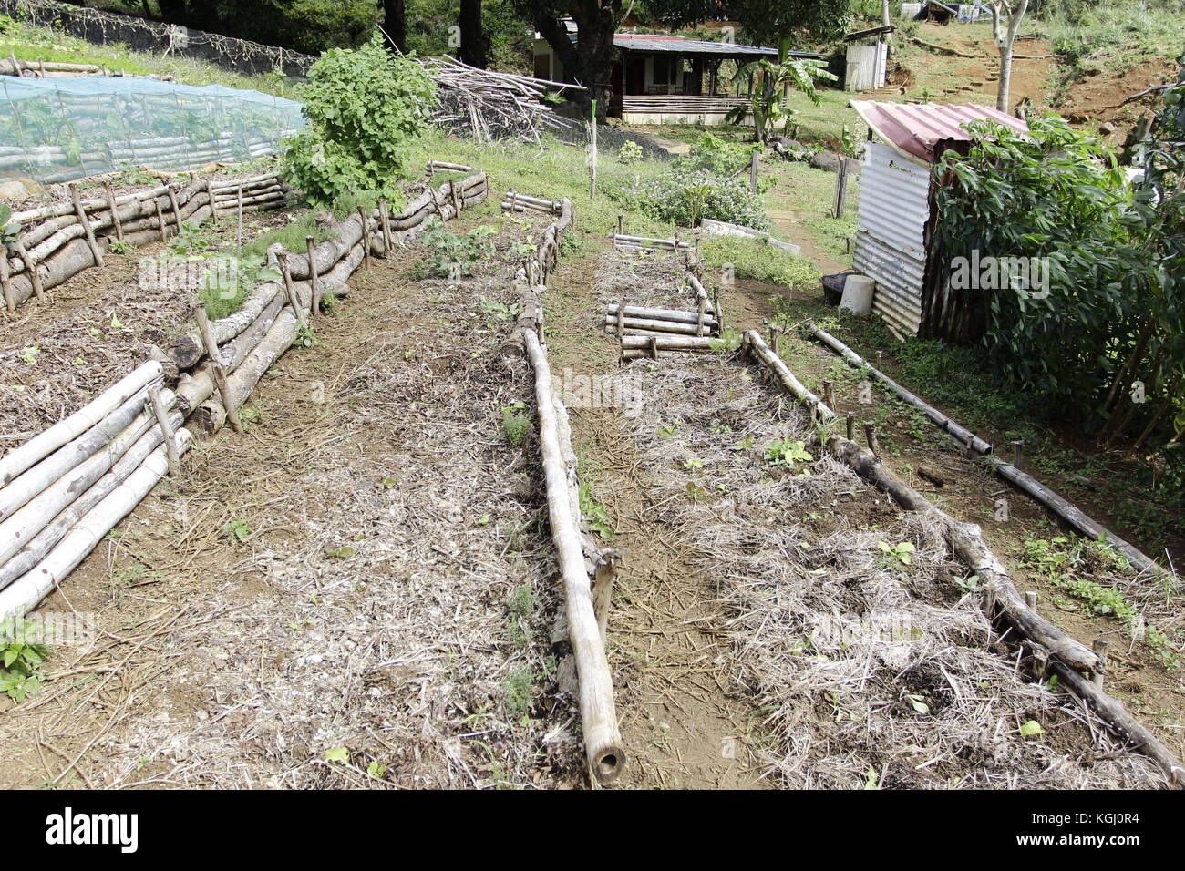 LAFERM COCO À BAMBOUS VIRIEUX Stock Photo - Alamy