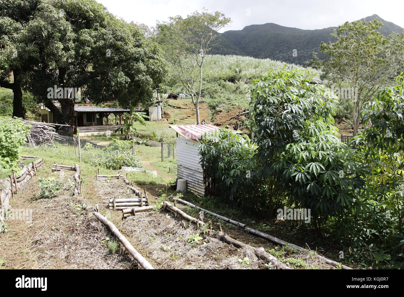 LAFERM COCO À BAMBOUS VIRIEUX Stock Photo - Alamy