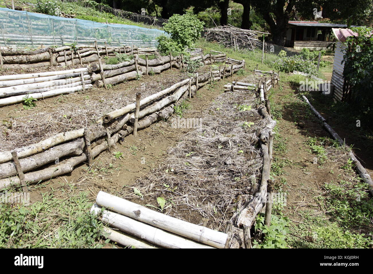 LAFERM COCO À BAMBOUS VIRIEUX Stock Photo - Alamy